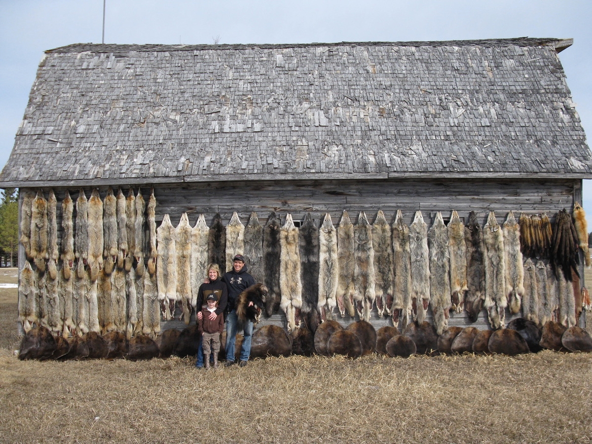 Interlake Safaris - Alberta Wolf Hunts